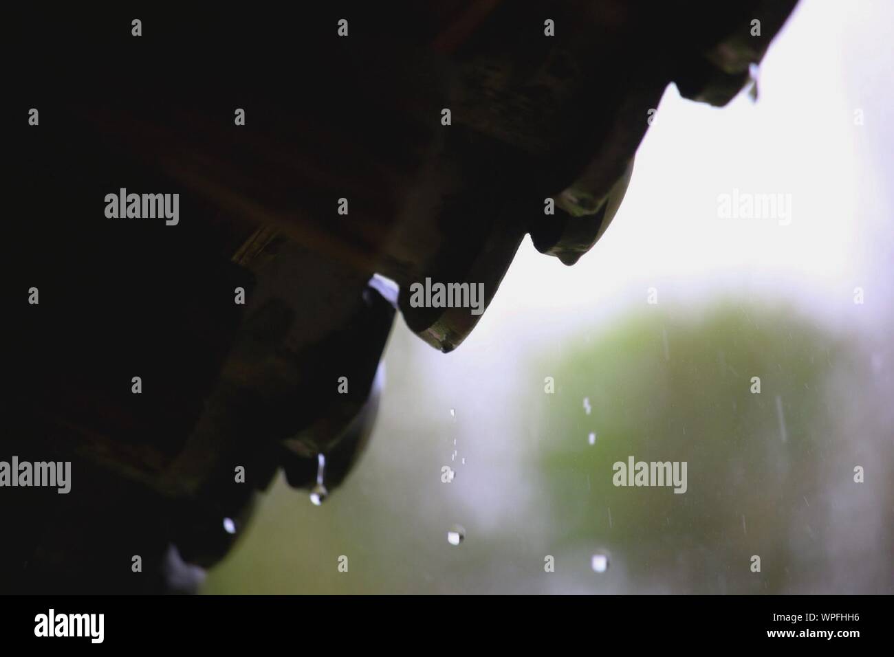 Dripping water rain hi-res stock photography and images - Alamy