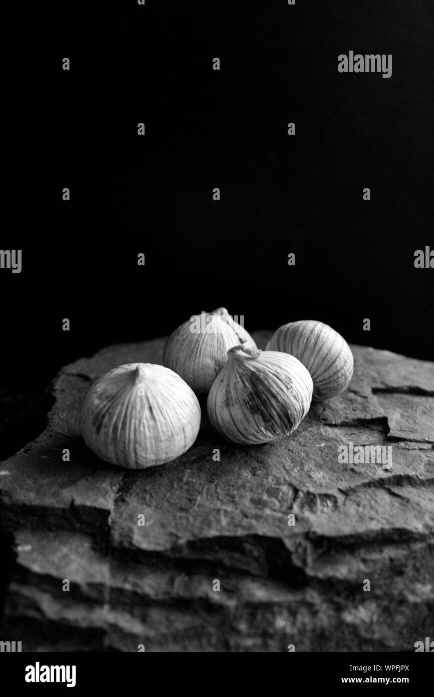 Rock still life hi-res stock photography and images - Alamy