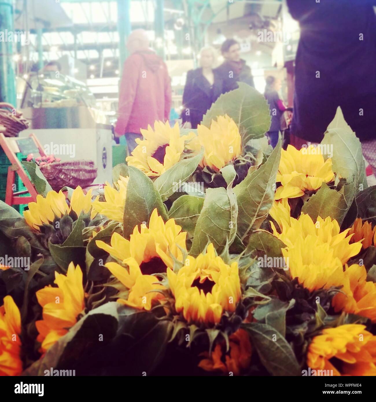 Market stall sunflowers hi-res stock photography and images - Alamy