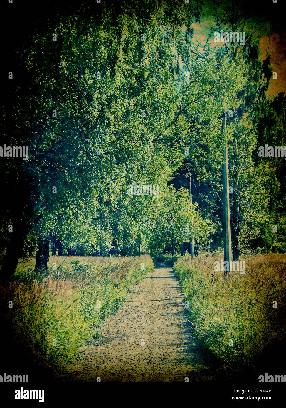 Vintage landscape, design in grunge and retro style Stock Photo - Alamy