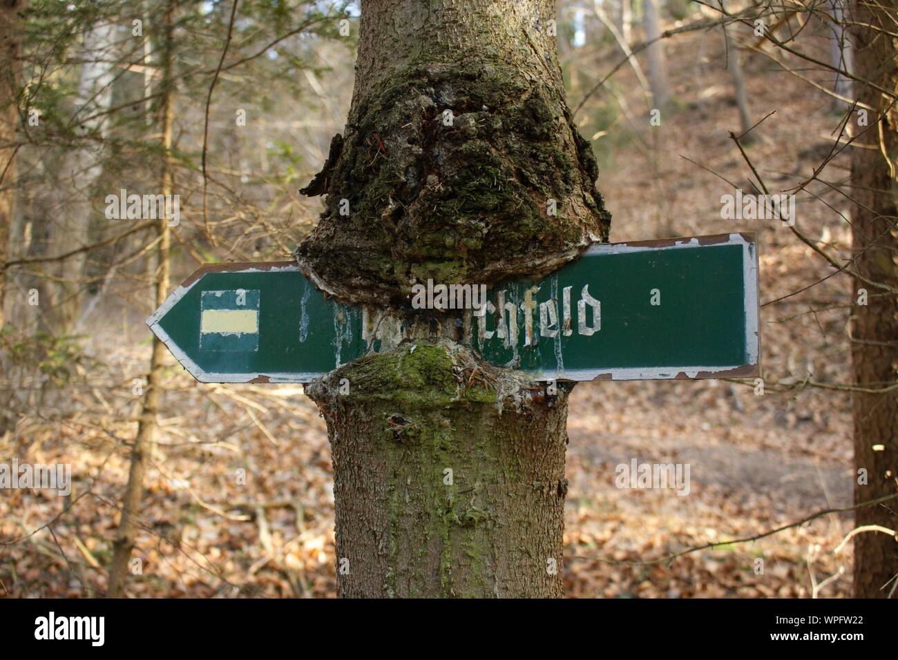 Tree signboard hi-res stock photography and images - Alamy