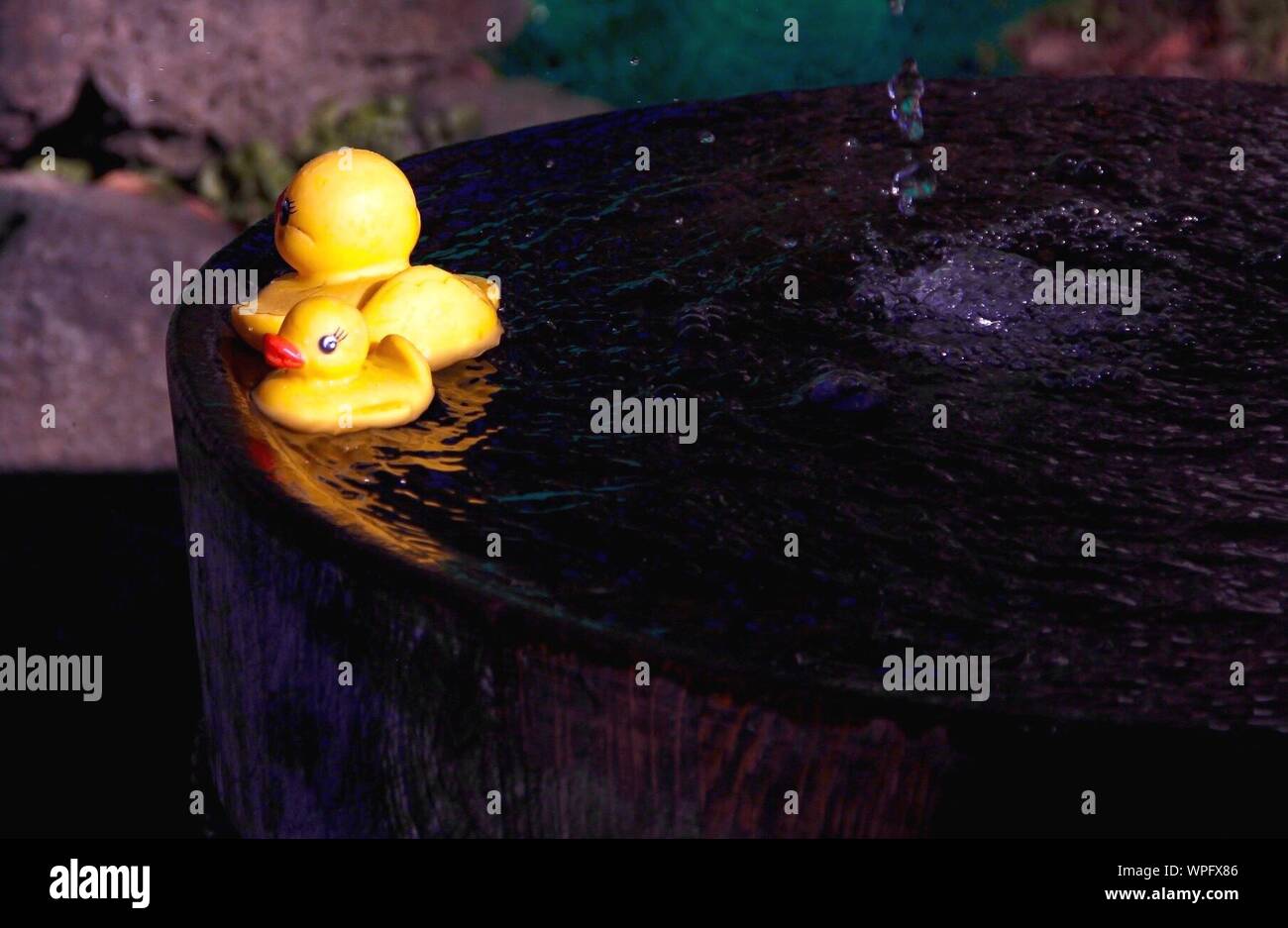 Two rubber ducks hi-res stock photography and images - Alamy