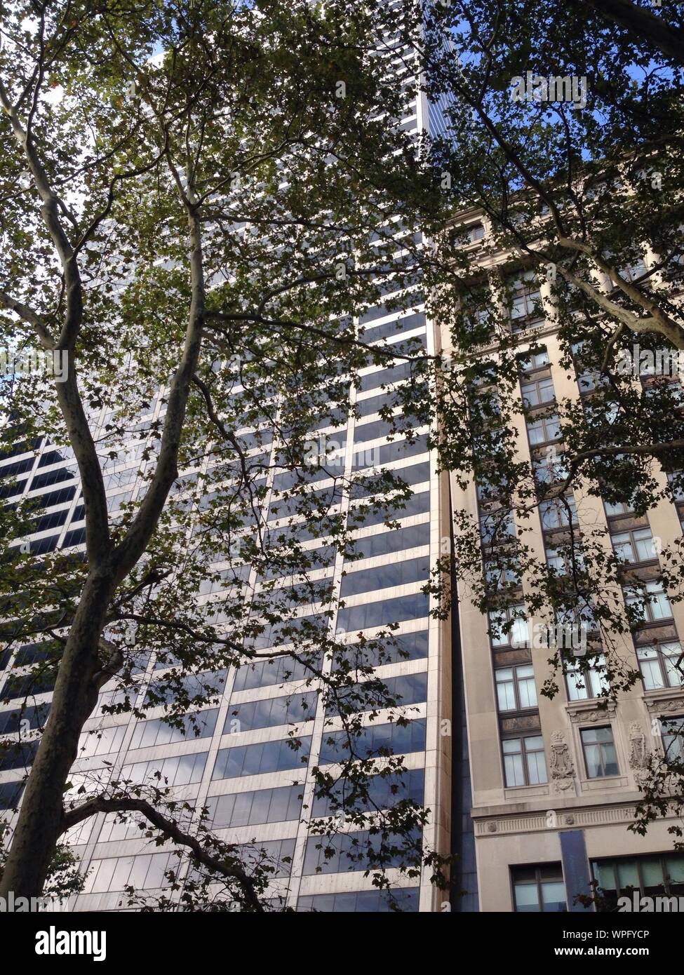 Tree office hi-res stock photography and images - Alamy