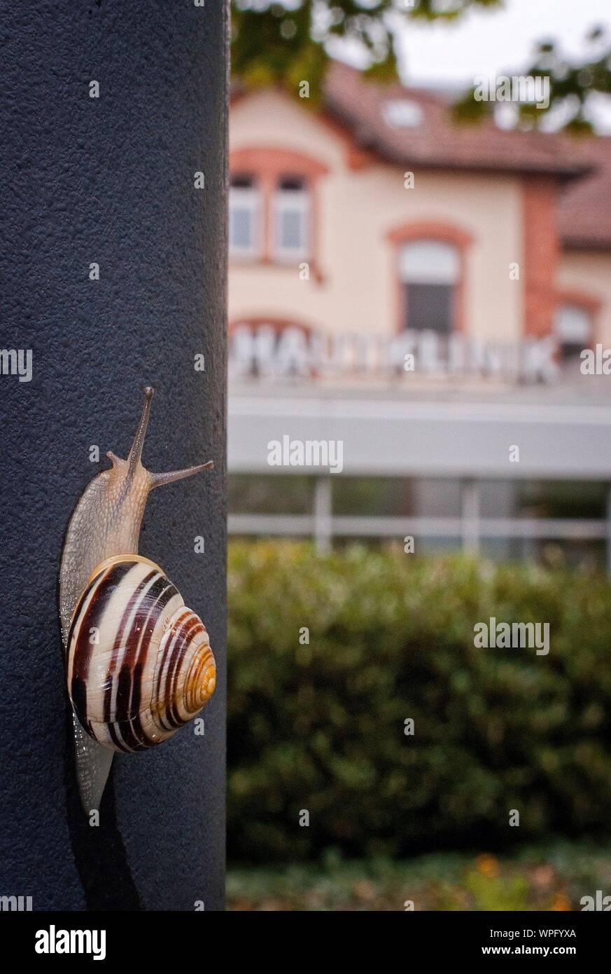 Metal snail hi-res stock photography and images - Alamy