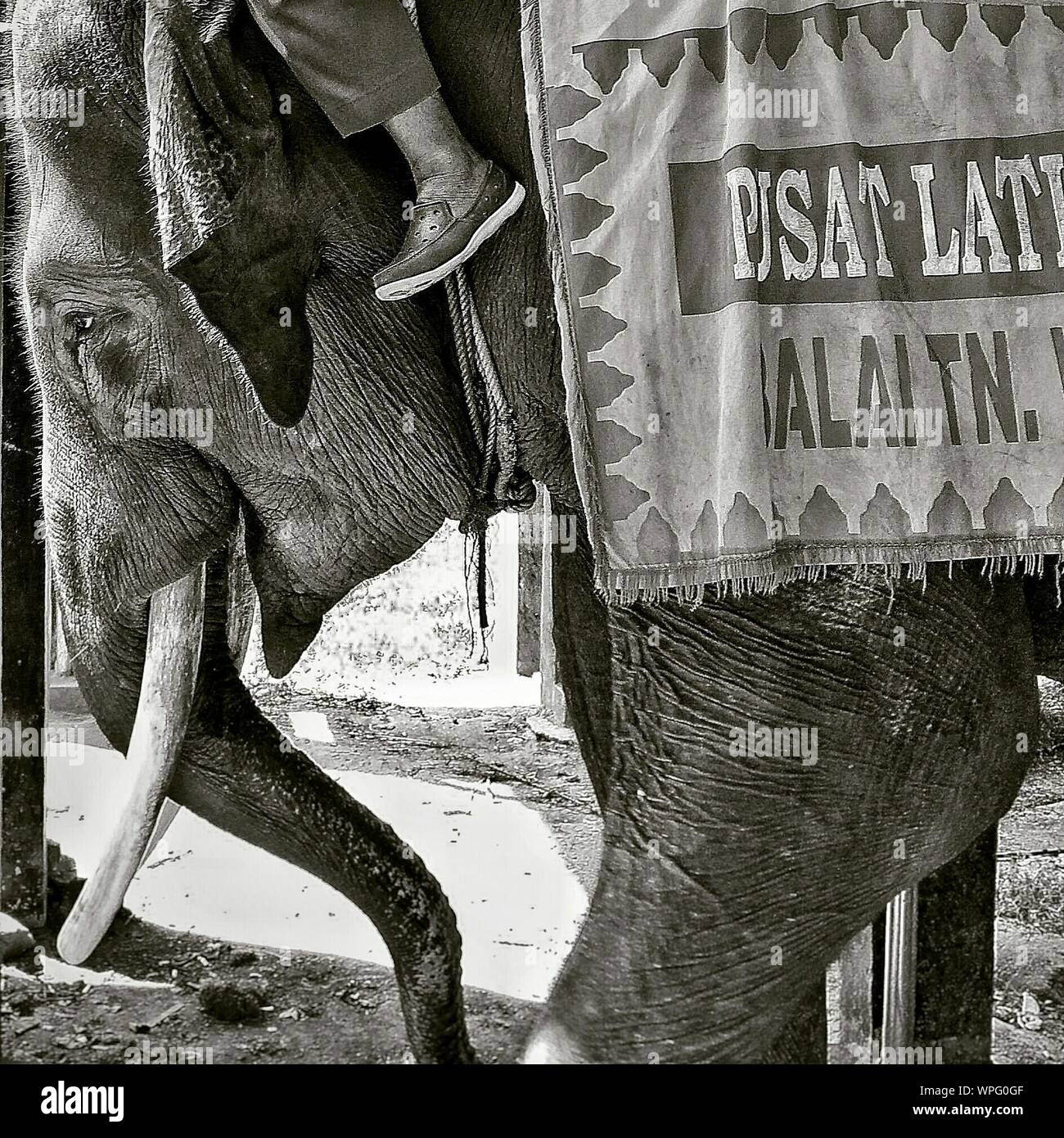 Advertising banner hi-res stock photography and images - Alamy