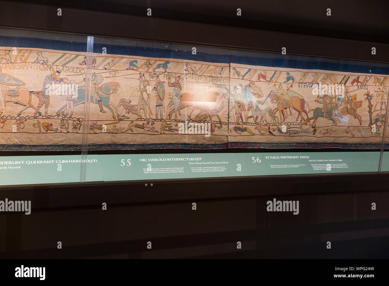 Reading museum bayeux tapestry hi-res stock photography and images - Alamy