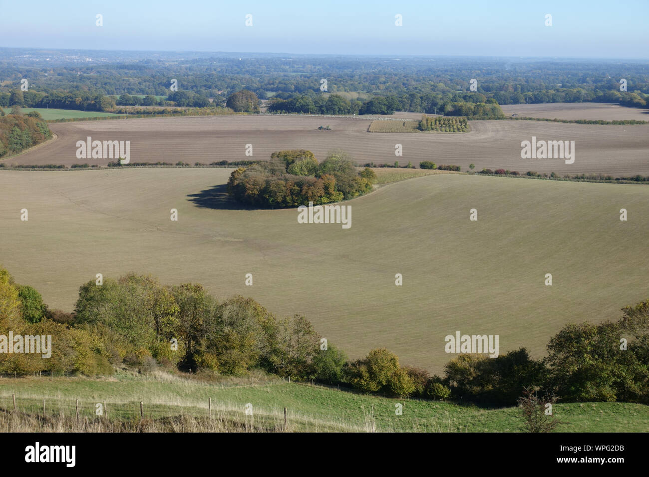 View from chalk downland of autumn countryside with trees turning young ...