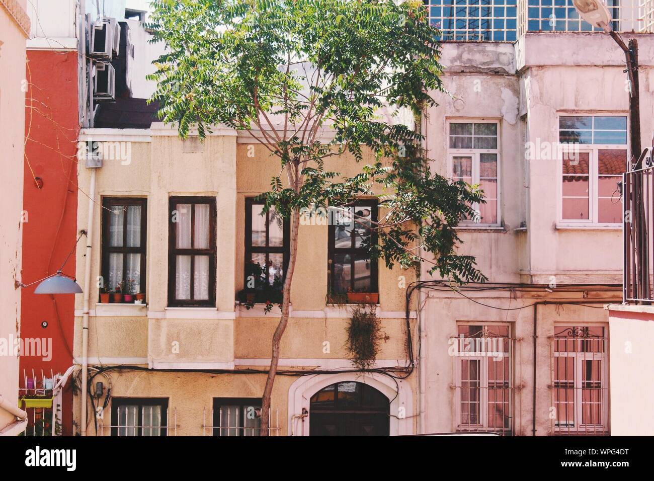 Building exterior architecture residential structure tree hi-res stock ...