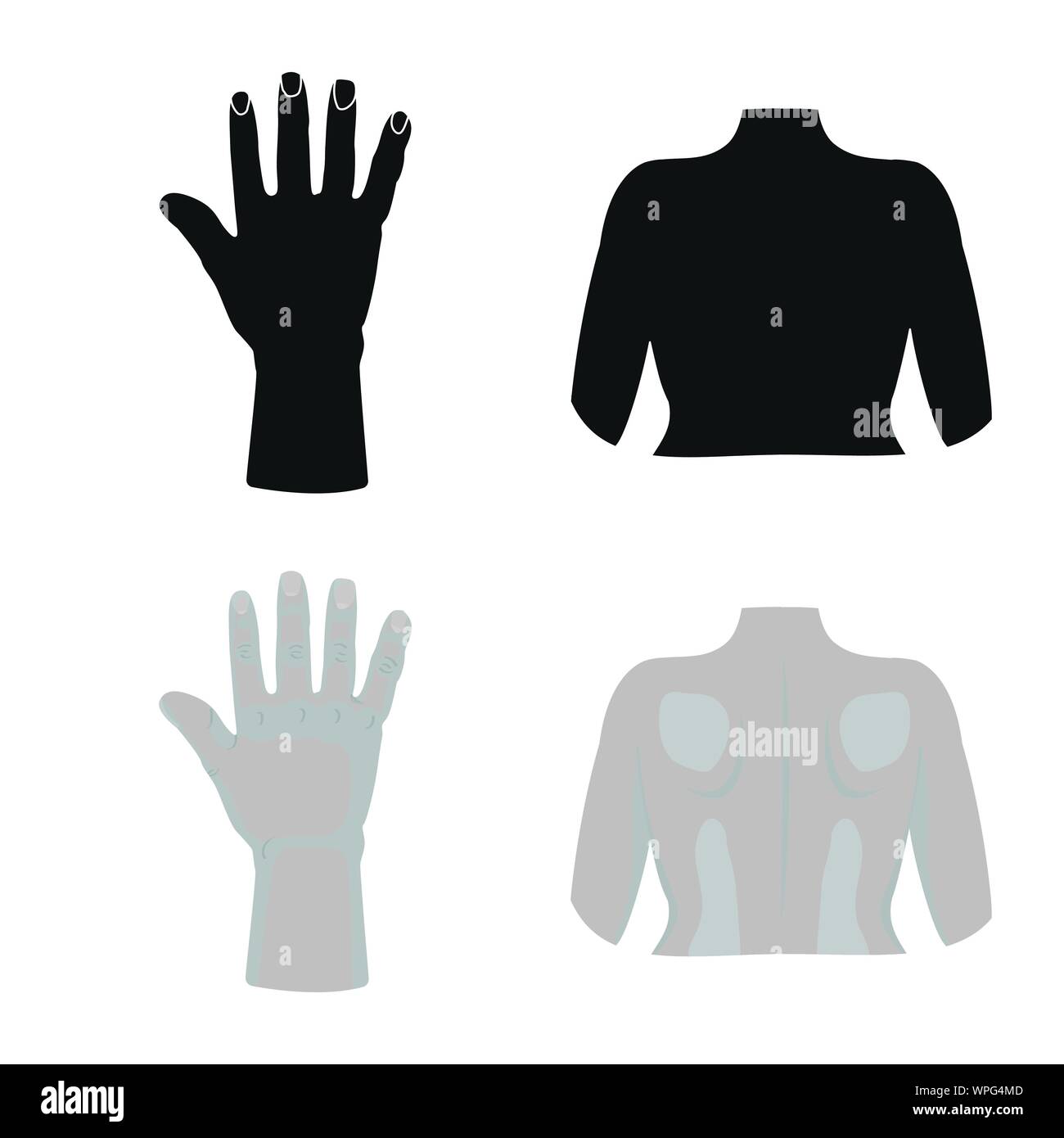 Isolated object of body and part icon. Collection of body and anatomy ...