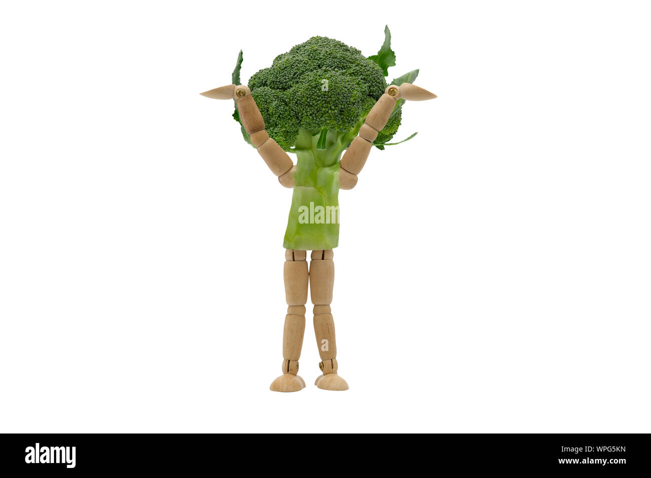 Illustration of Human vegetable Broccoli on isolated white background ...