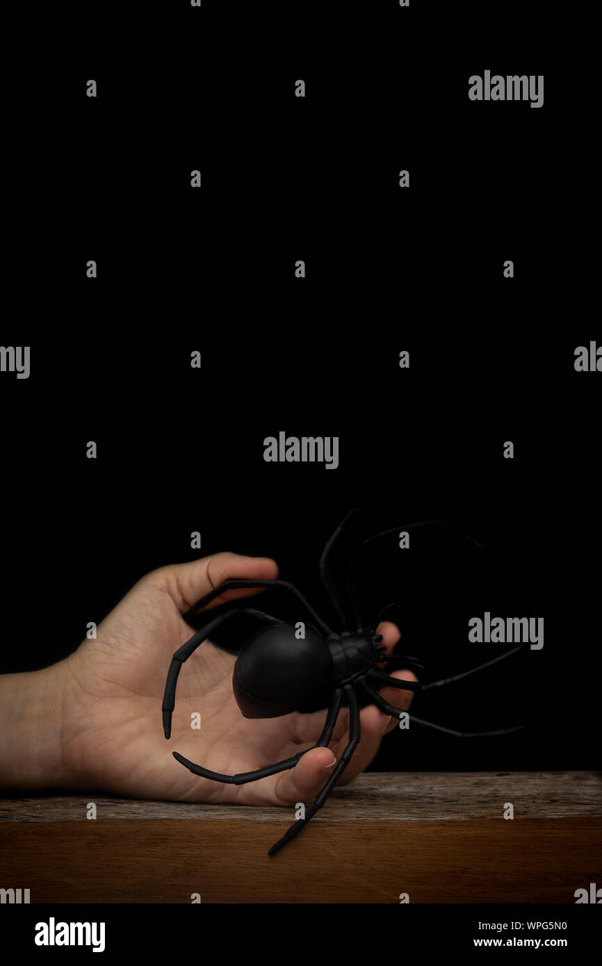 Hand holding Fake rubber spider toy on black background, halloween ...
