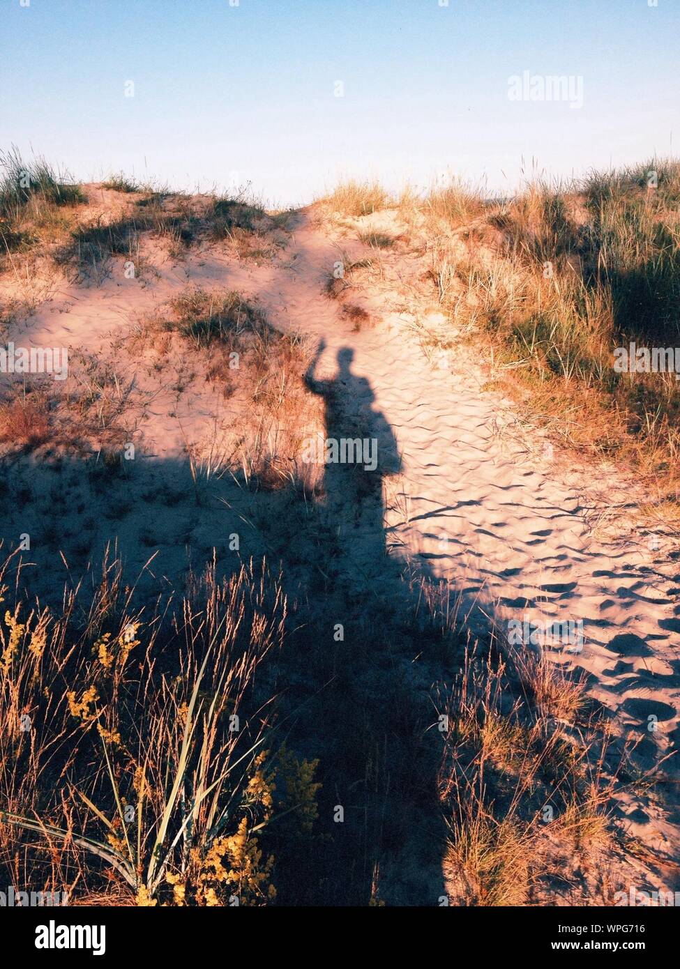 Man Waving On Beach High Resolution Stock Photography and Images - Alamy