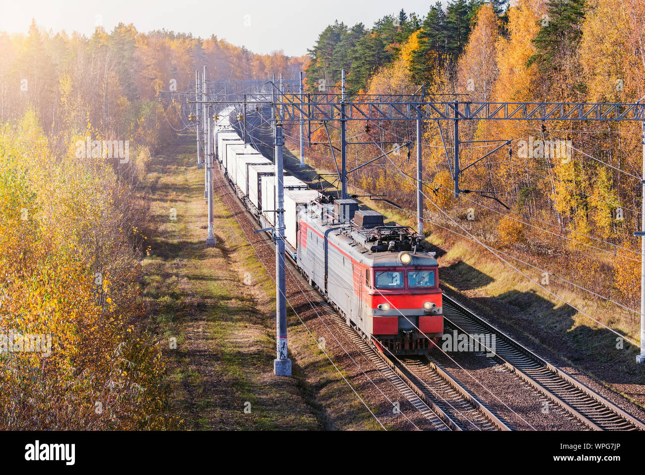 Refrigerated container train on autumn forest background Stock Photo ...