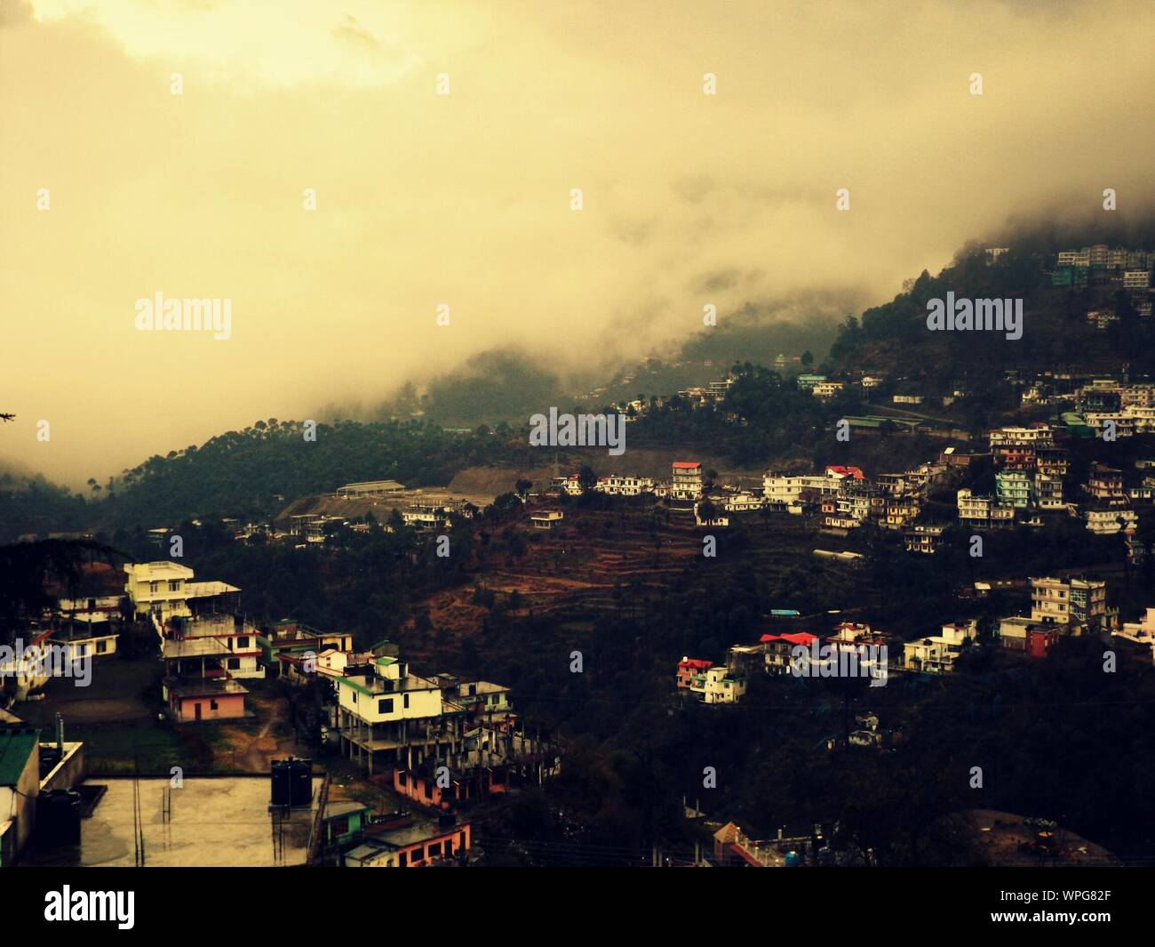 Solan hi-res stock photography and images - Alamy