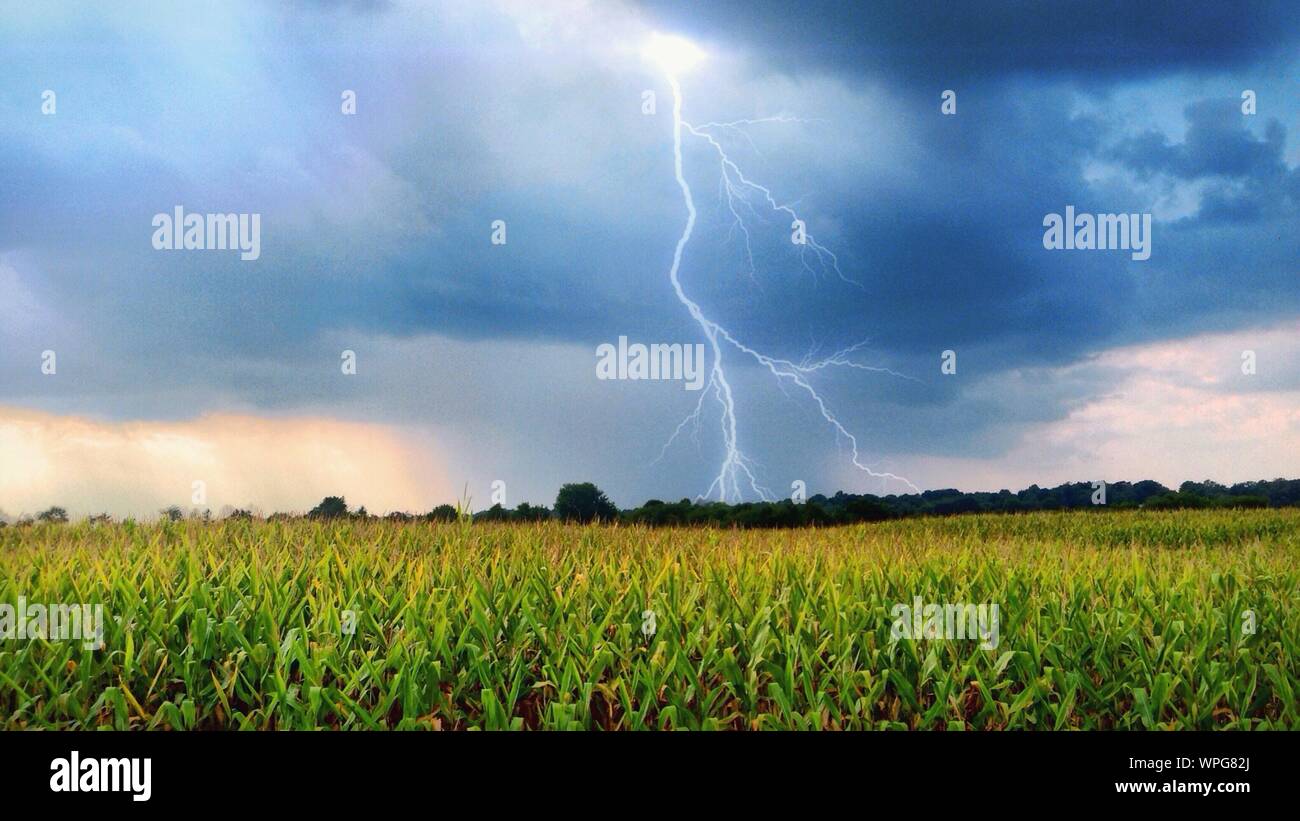 Green lightning bolt hi-res stock photography and images - Alamy