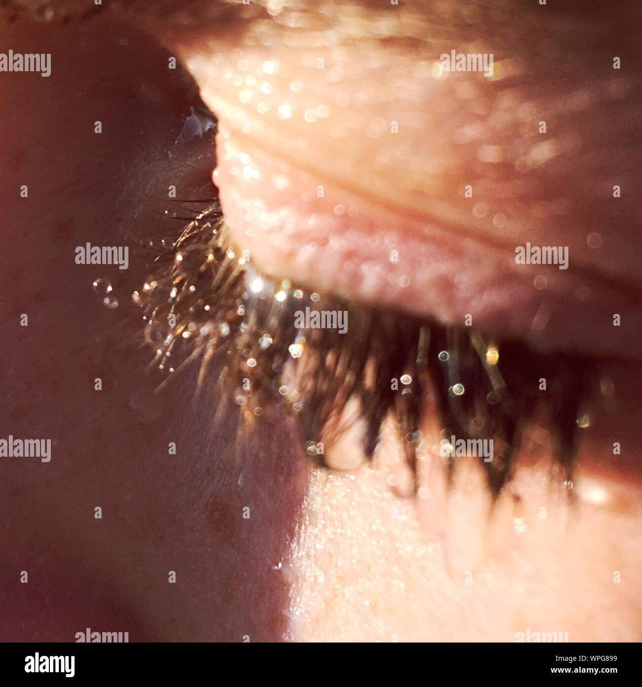 Close up eyelashes hi-res stock photography and images - Alamy