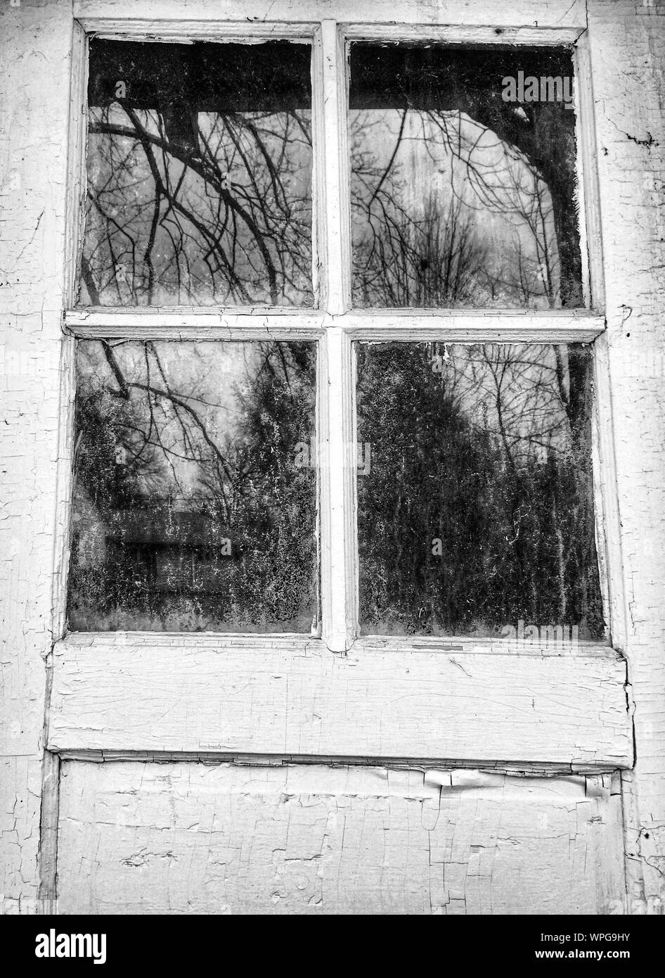 Reflection of tree in window hi-res stock photography and images - Alamy