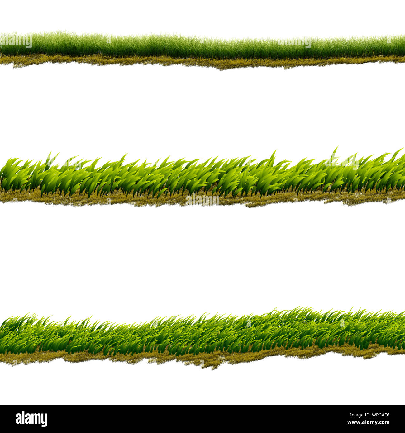 A Collection of Fresh green grass lines Stock Photo - Alamy