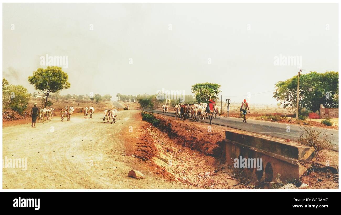 Cattlemen hi-res stock photography and images - Alamy