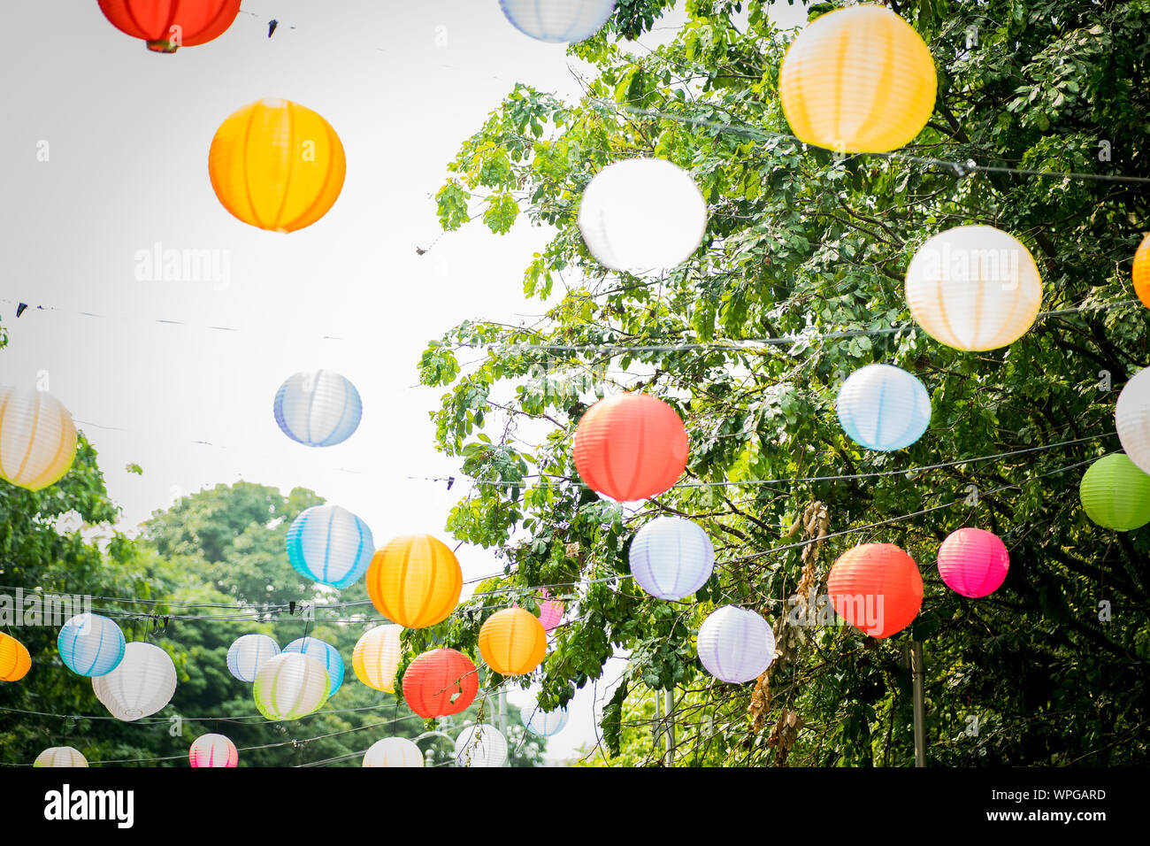 Colourful Paper Lantern hanging with trees and sky in the background ...