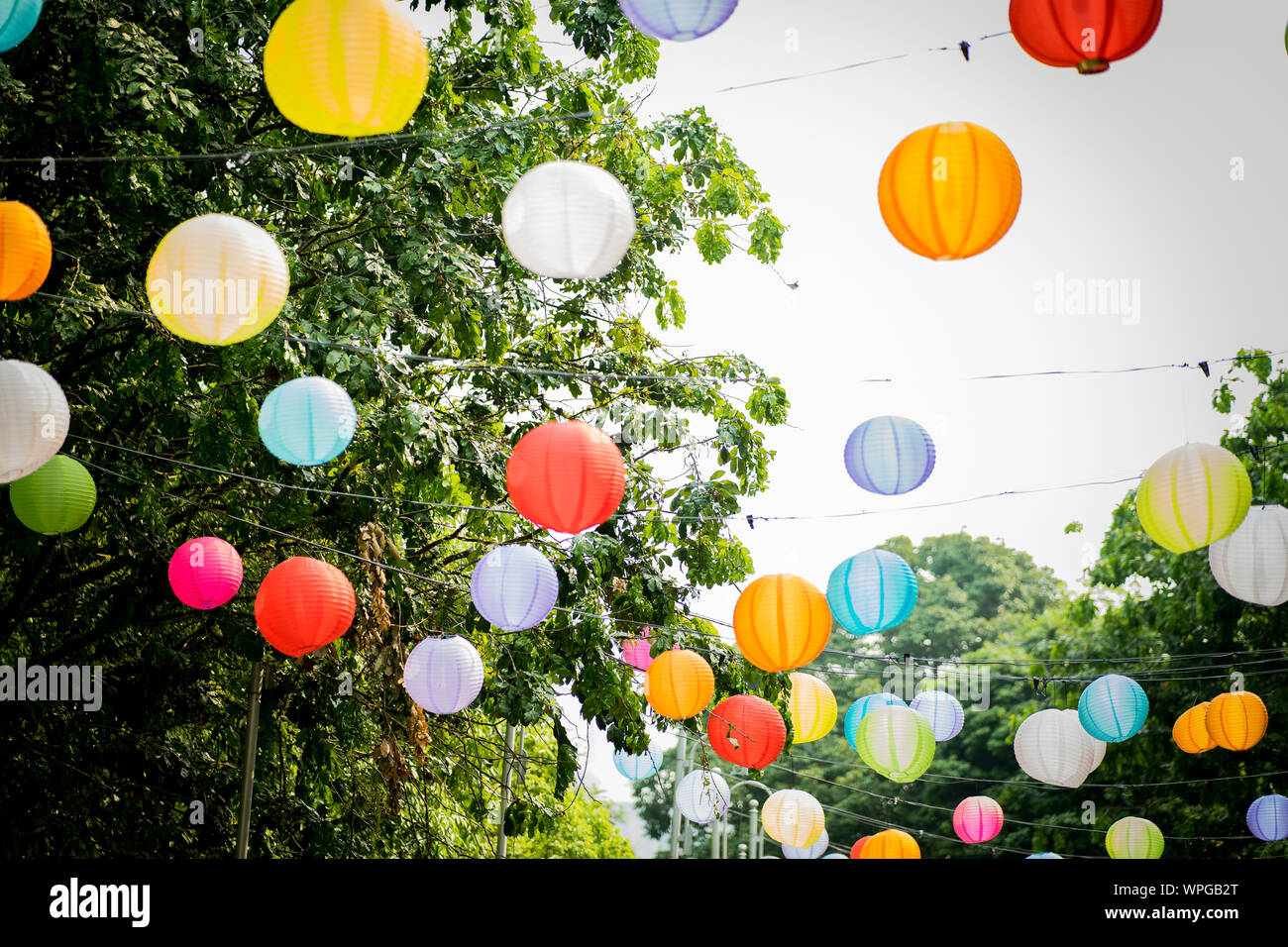 Colourful Paper Lantern hanging with trees and sky in the background ...