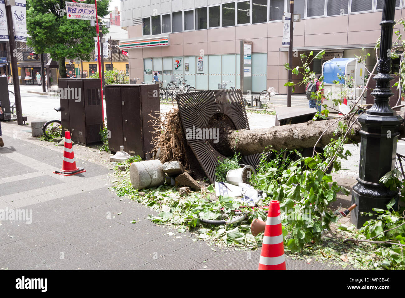 Chiba, Japan, 09/09/2019 , trees crashed to the ground on Chiba city ...