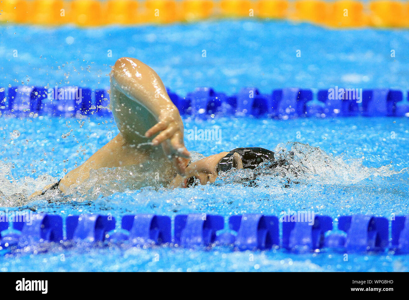 Alice tai 2019 hi-res stock photography and images - Alamy