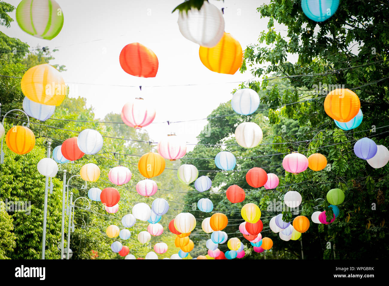 Colourful Paper Lantern hanging with trees and sky in the background ...