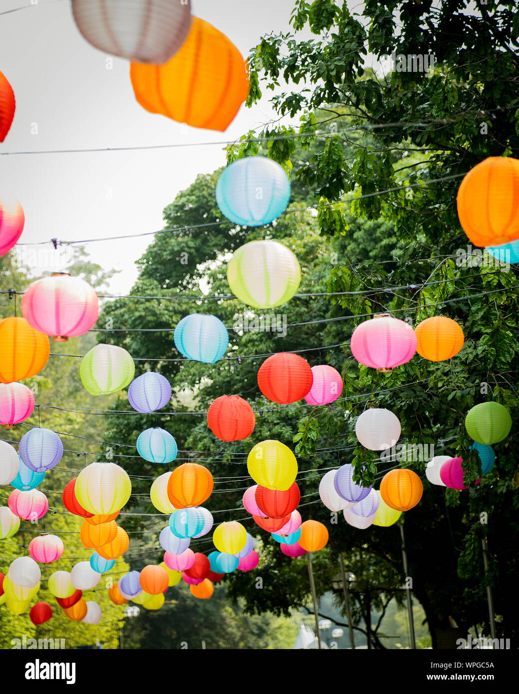 Colourful Paper Lantern hanging with trees and sky in the background ...