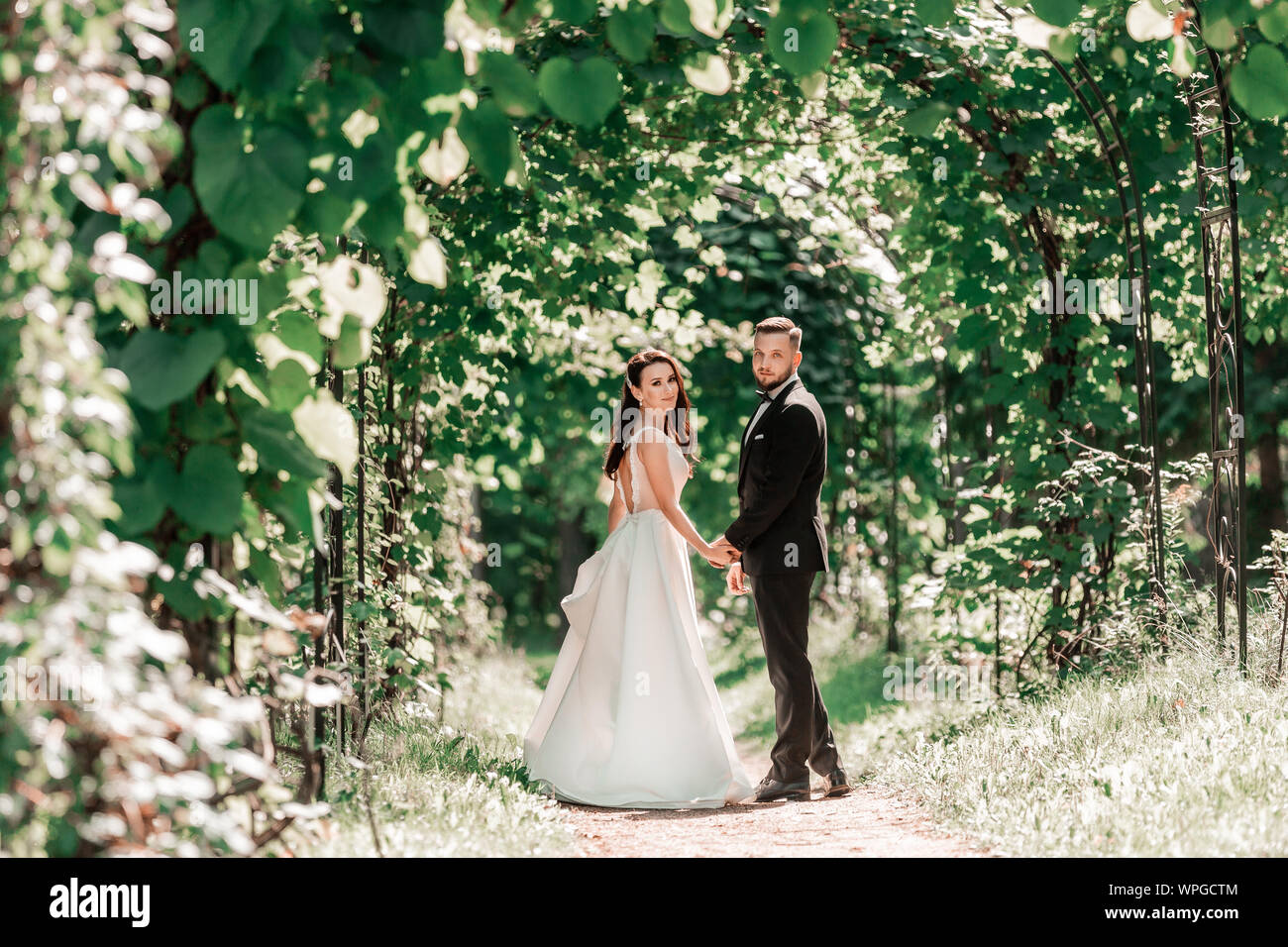 rear view. happy bride and groom passing under the wedding arch Stock ...