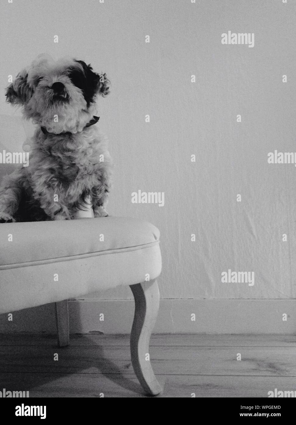 Resting against chair hi-res stock photography and images - Alamy