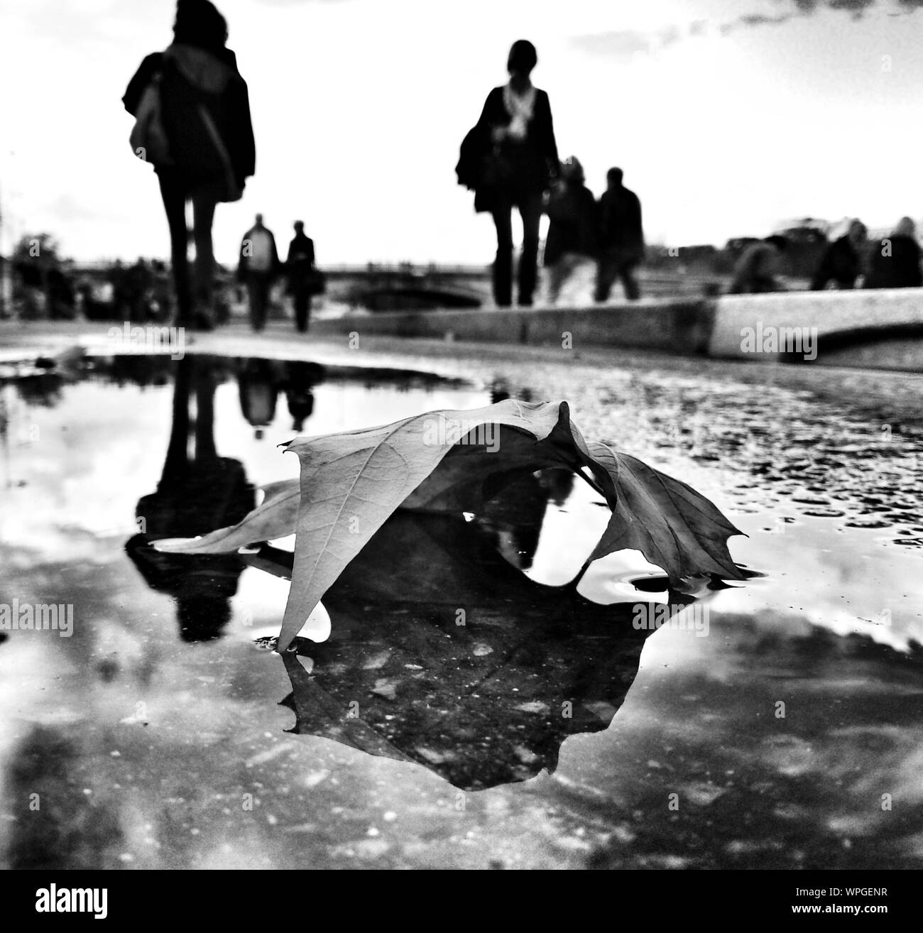Wet road dry road hi-res stock photography and images - Alamy