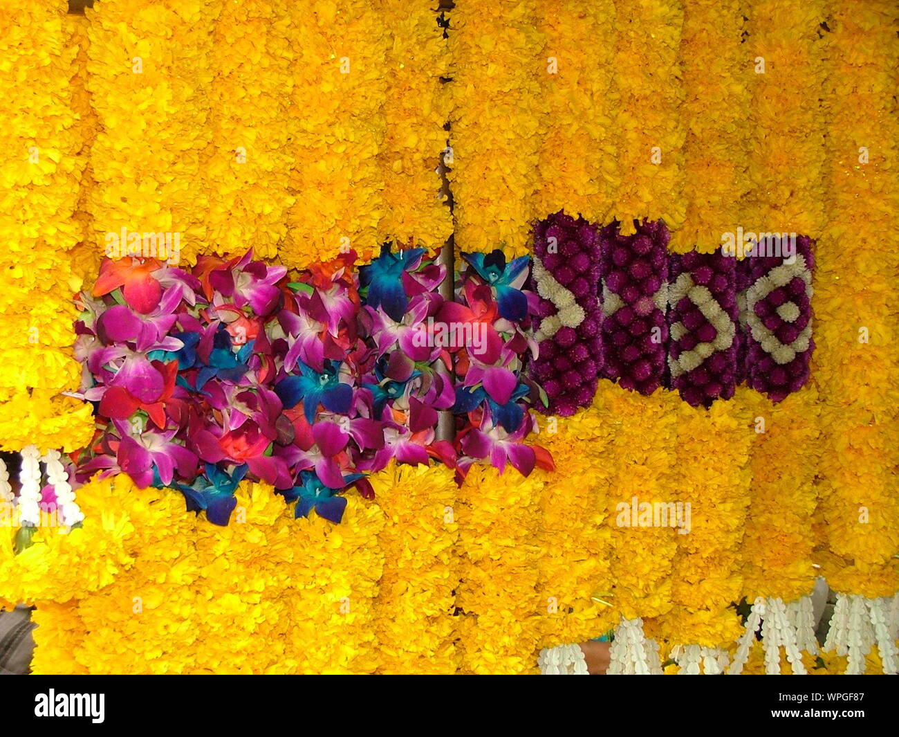 Flower Garland Frame Stock Photos & Flower Garland Frame Stock Images ...