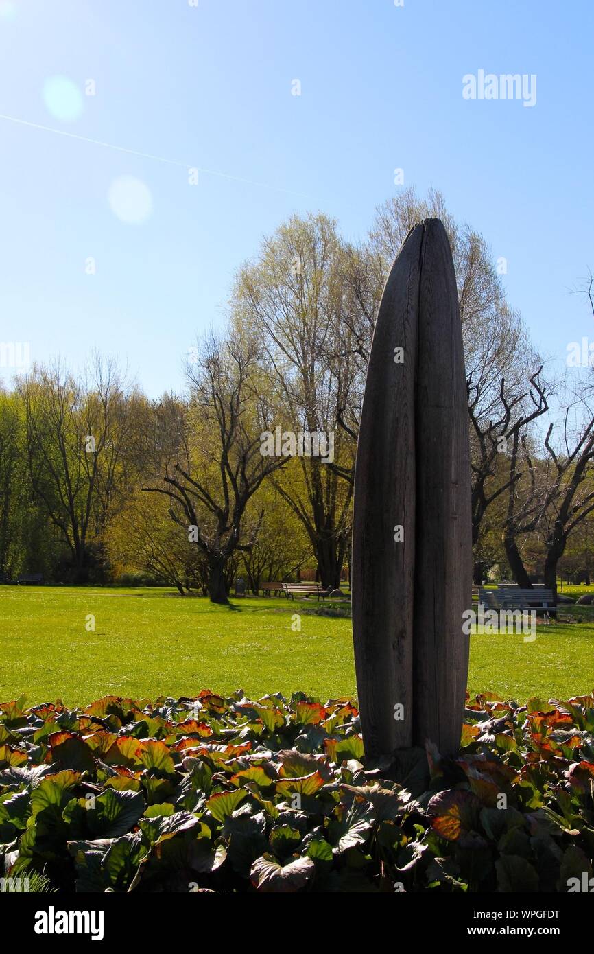 Stuck In Stone High Resolution Stock Photography and Images - Alamy