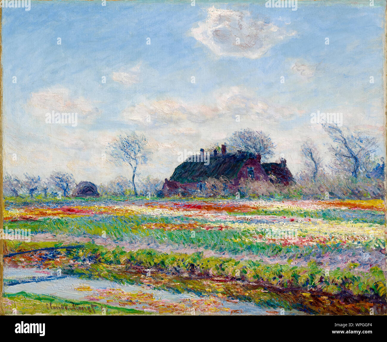 Monet Landscape Field