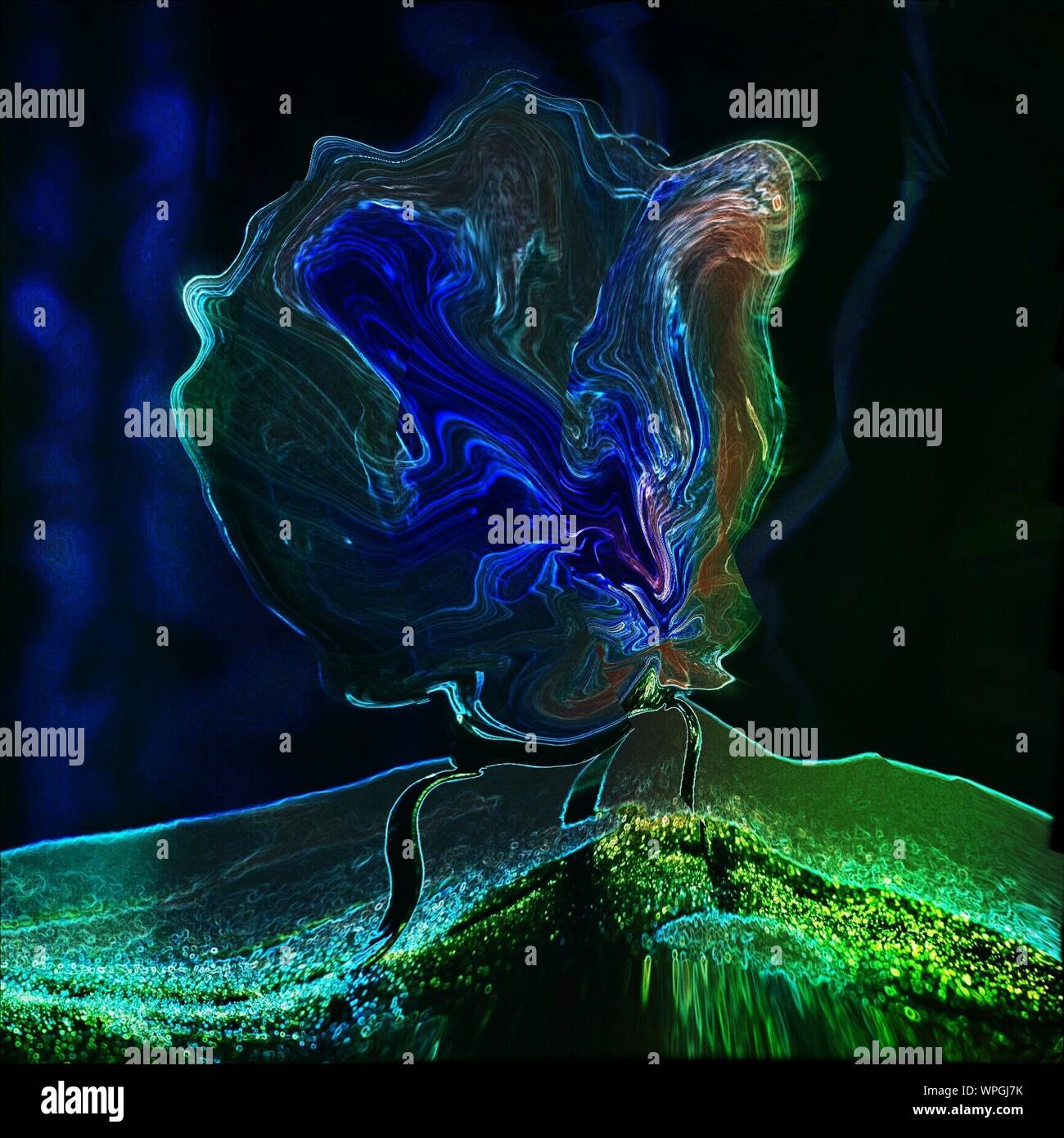 Fractal photography hi-res stock photography and images - Alamy