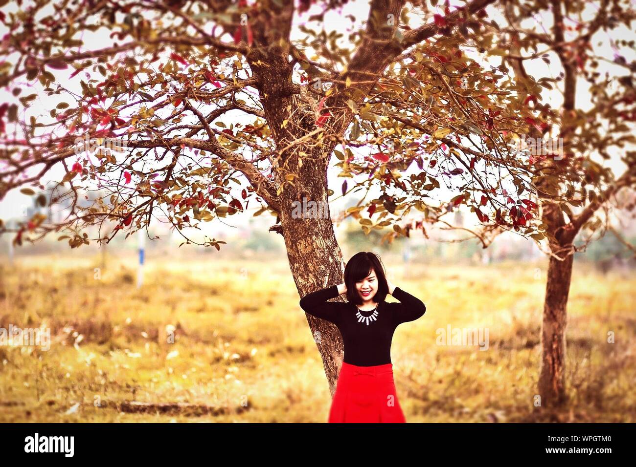 Girl with tree hi-res stock photography and images - Alamy