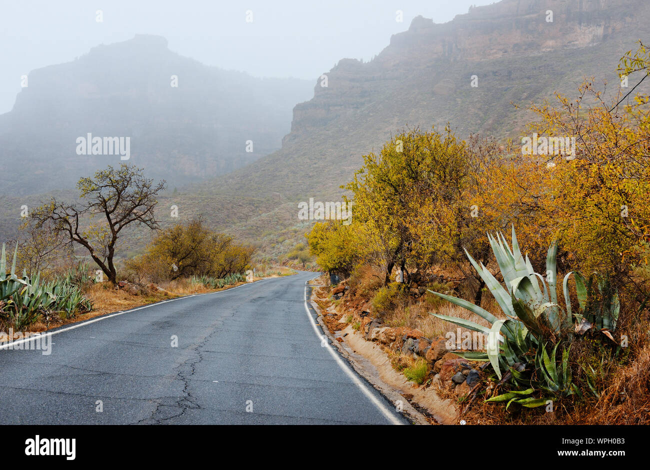 Empty road mountains hi-res stock photography and images - Alamy