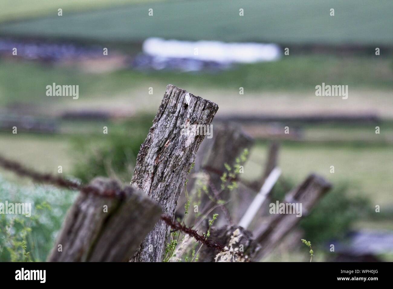 Weathered fence post hi-res stock photography and images - Alamy