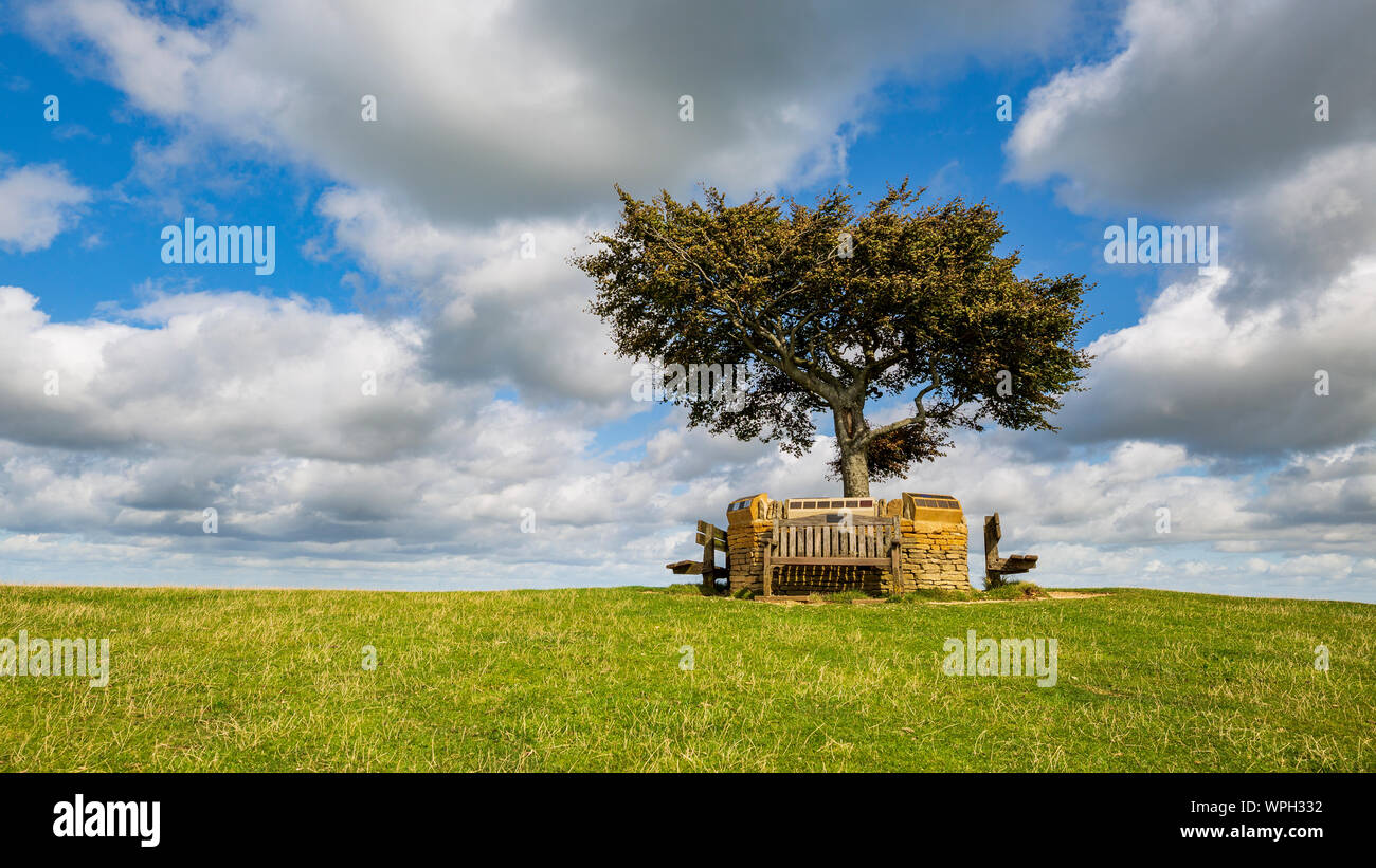 The Cotswolds’ highest tree and Memorial wall on Cleeve Common near ...