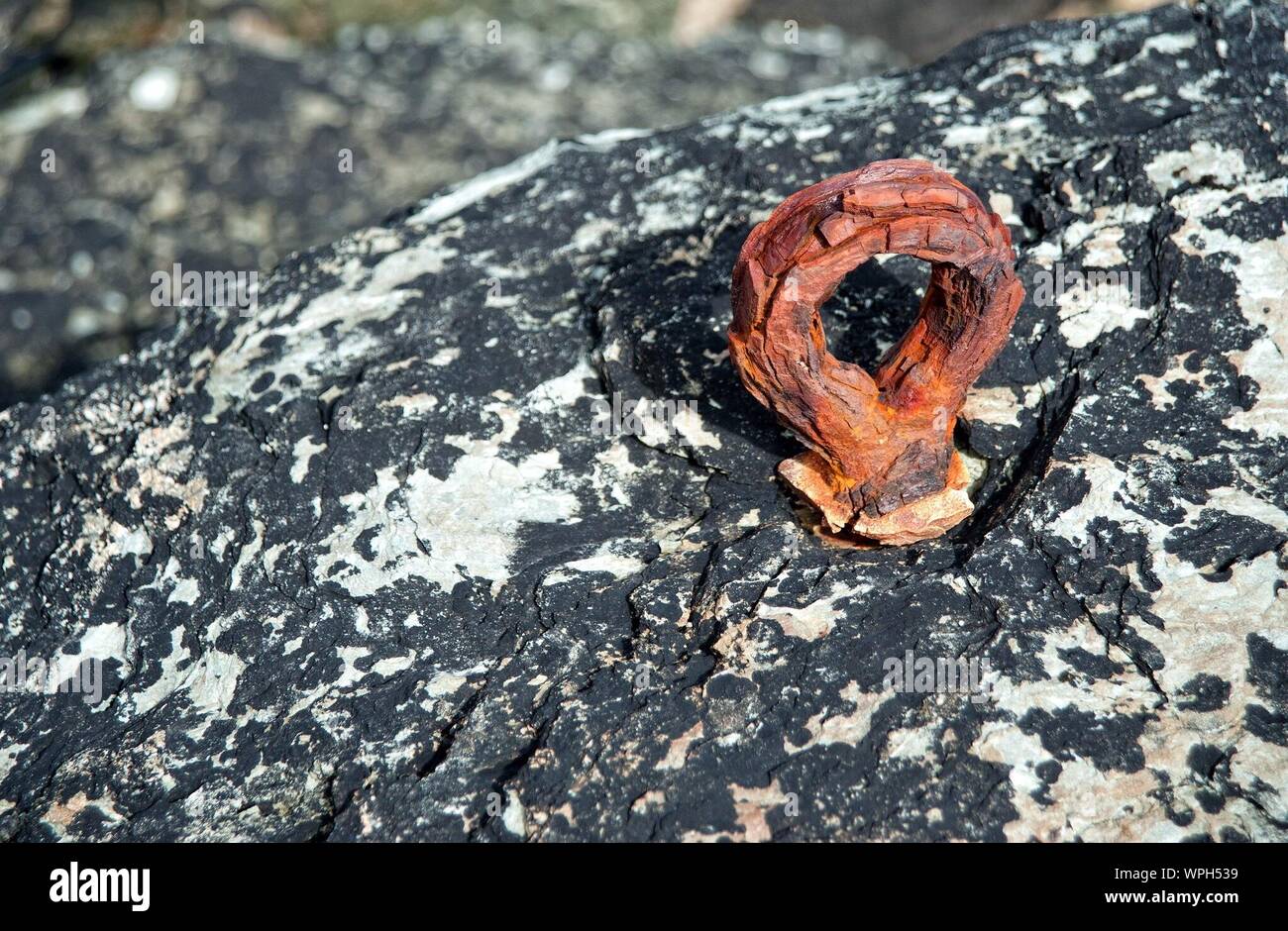 Rusty hook hi-res stock photography and images - Alamy