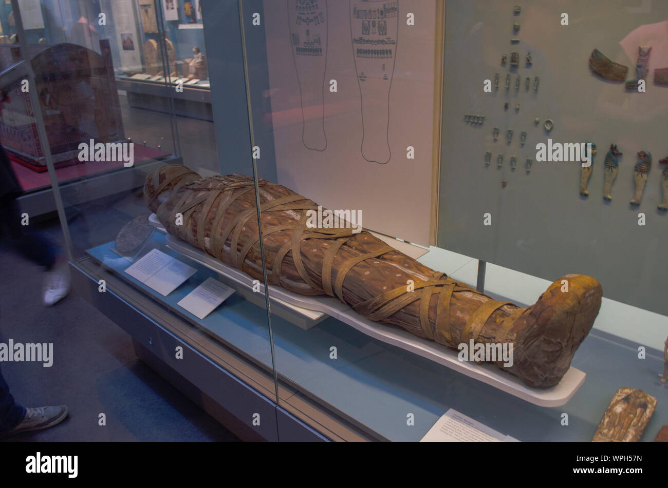Egypt Mummies Cleopatra