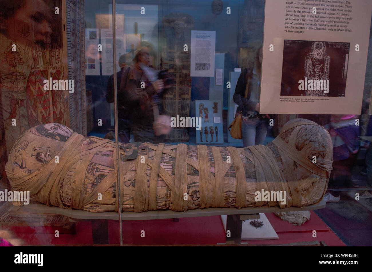 Cleopatra Mummy