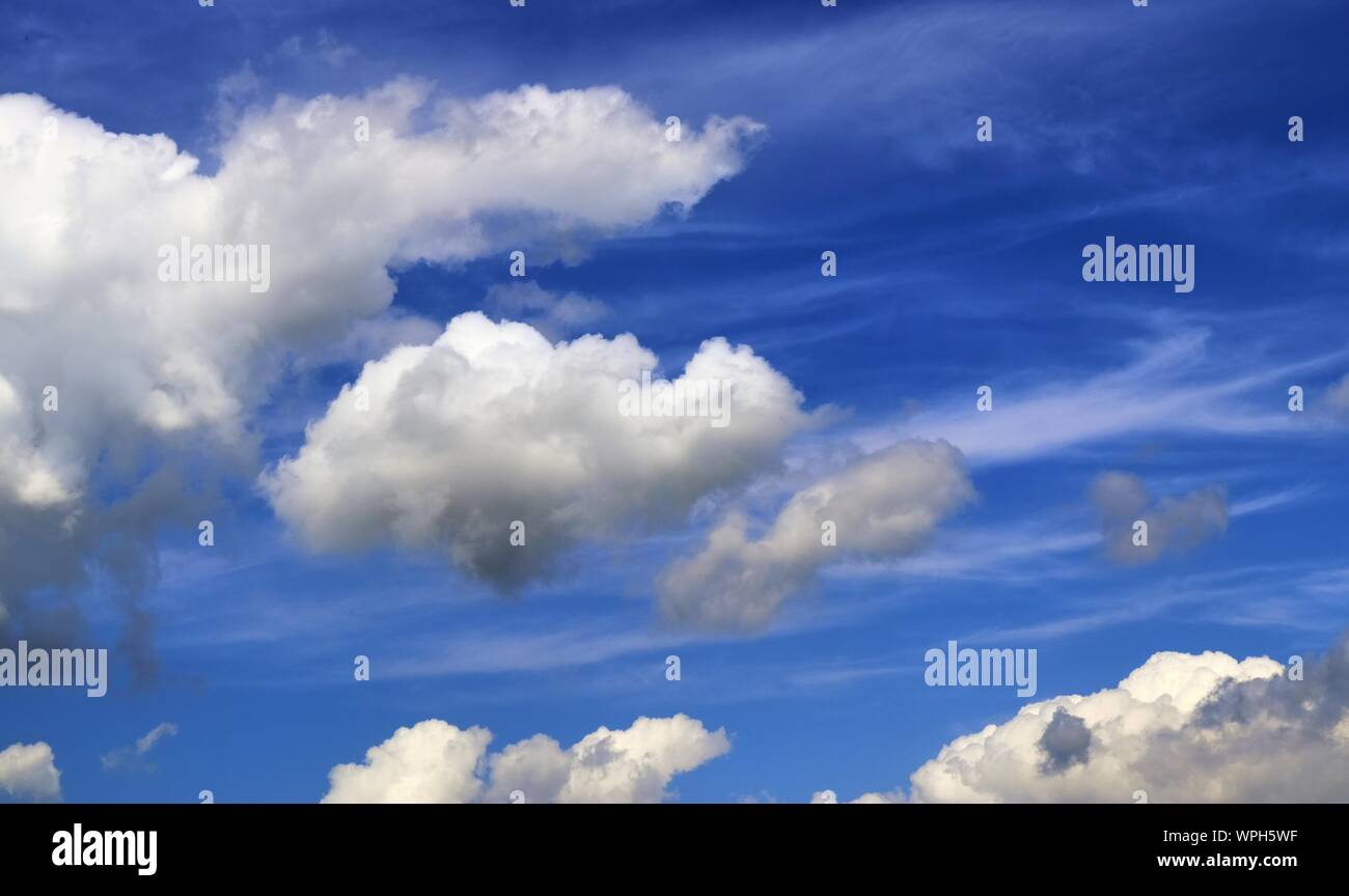 Beautiful fluffy white cloud panorama in a deep blue sky in summer ...