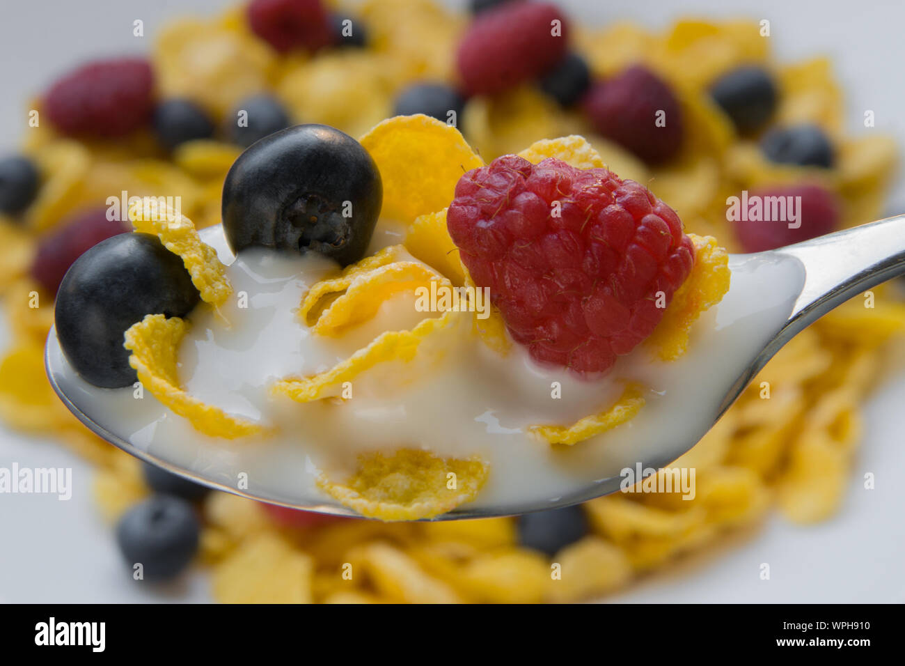 Fresh blueberries and raspberries with corn flakes with diet yogurt ...
