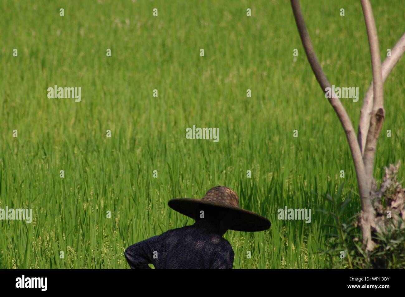 Paddy hat hi-res stock photography and images - Alamy