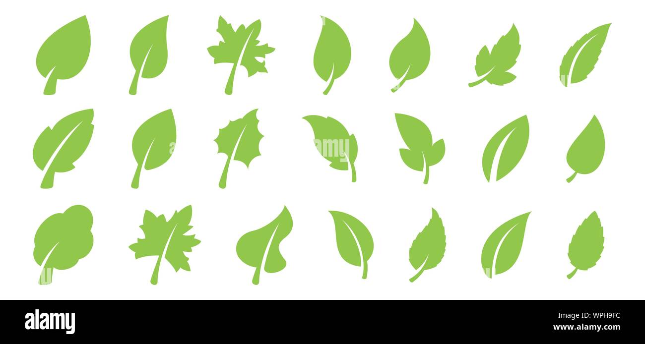 Green leaf set Stock Vector Image & Art - Alamy