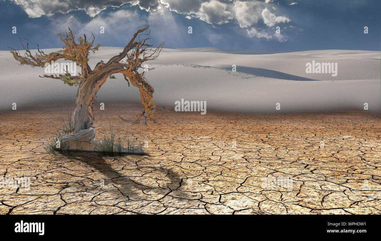 Dead Tree in Desert. 3D rendering Stock Photo - Alamy