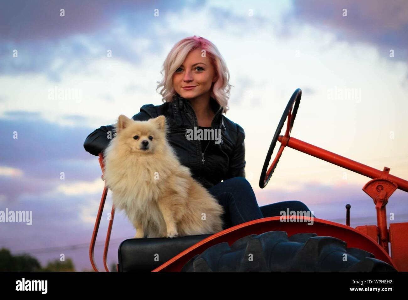 Dog sitting on tractor hi-res stock photography and images - Alamy