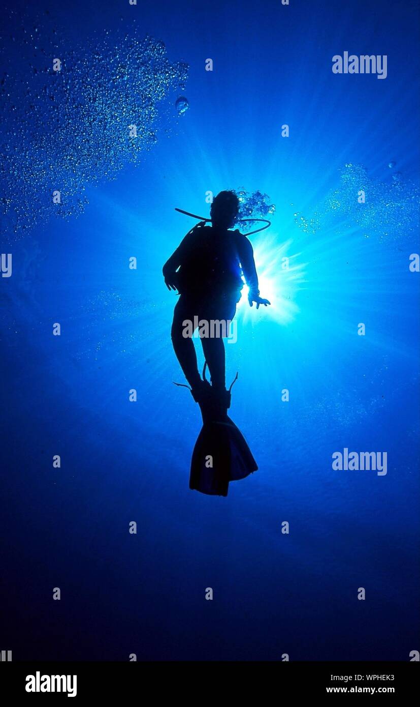 Scuba diver silhouette hi-res stock photography and images - Alamy